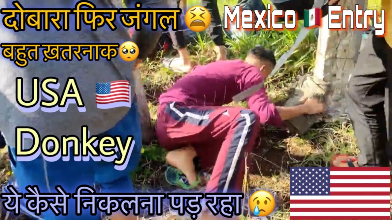 USA 🇺🇸 Donkey | Mexico 🇲🇽 Entry|Guatemala 🇬🇹 To Mexico 🇲🇽 | दोबारा फिर ...