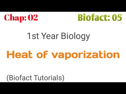 Heat of vaporization ||biofact;5||ch;2||Biology 1st year - YouTube