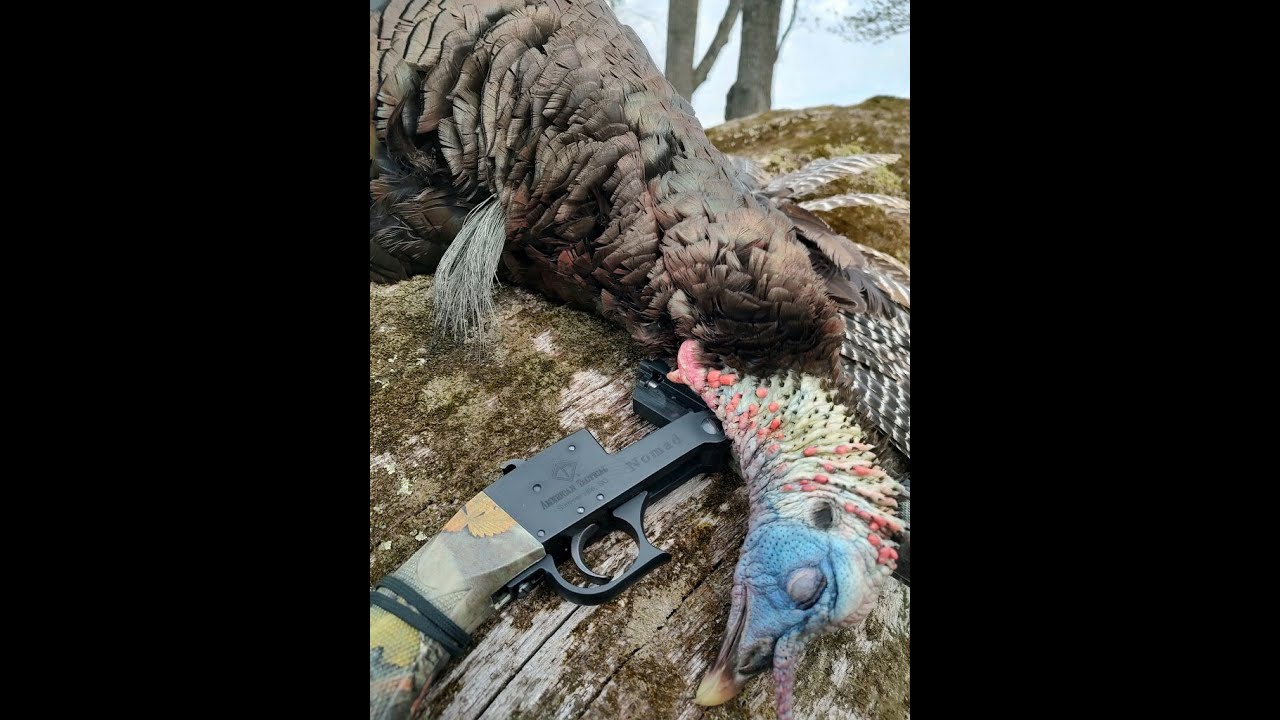 Indiana Turkey Hunt with 28 Gauge #turkeyhunting #gobbler - YouTube