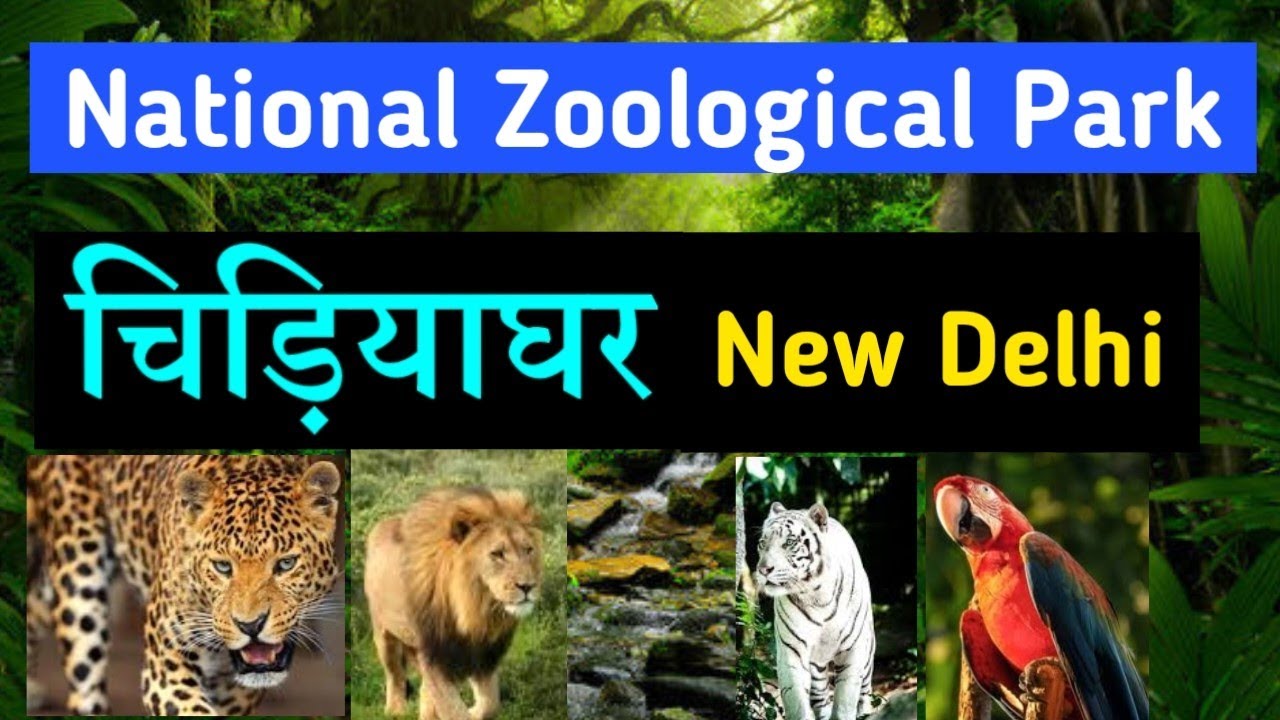 National Zoological Park New Delhi | Zoo park - YouTube