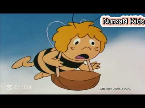 ARI BALASI MAYA İZLE (AZERBAYCAN DİLİNDE) part 1