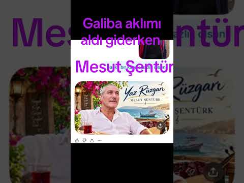 Mesut Şentürk 