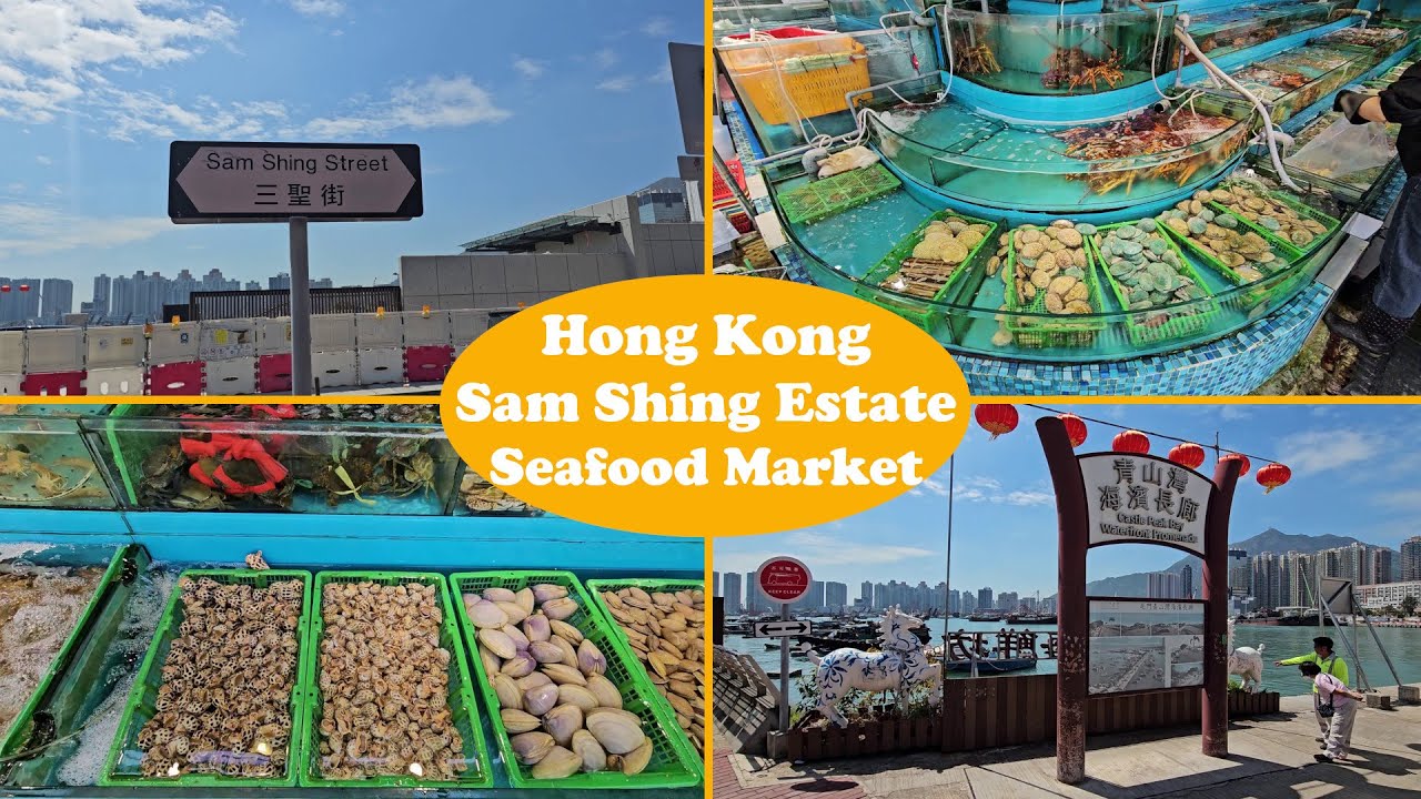 Travel Vlog | Hong Kong (香港) | Sam Shing Estate Seafood Market (三聖邨海鮮市場 ...