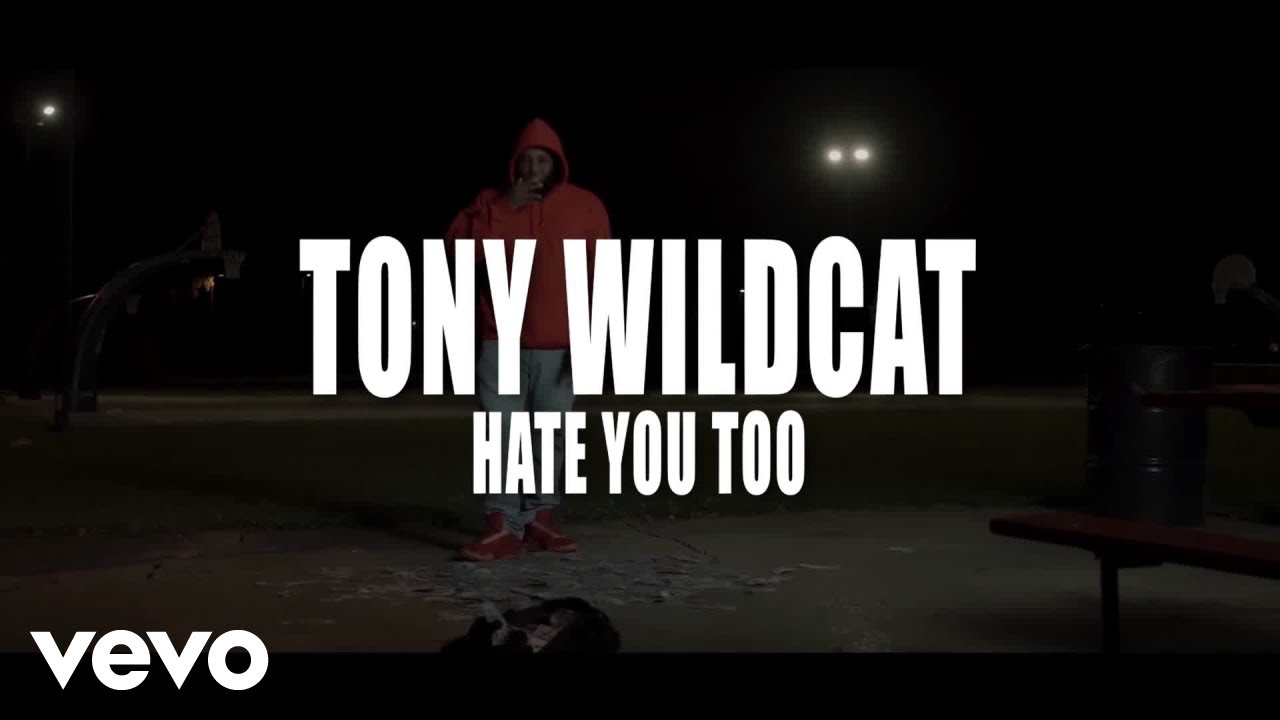 Tony Wildcat - Hate You Too - YouTube