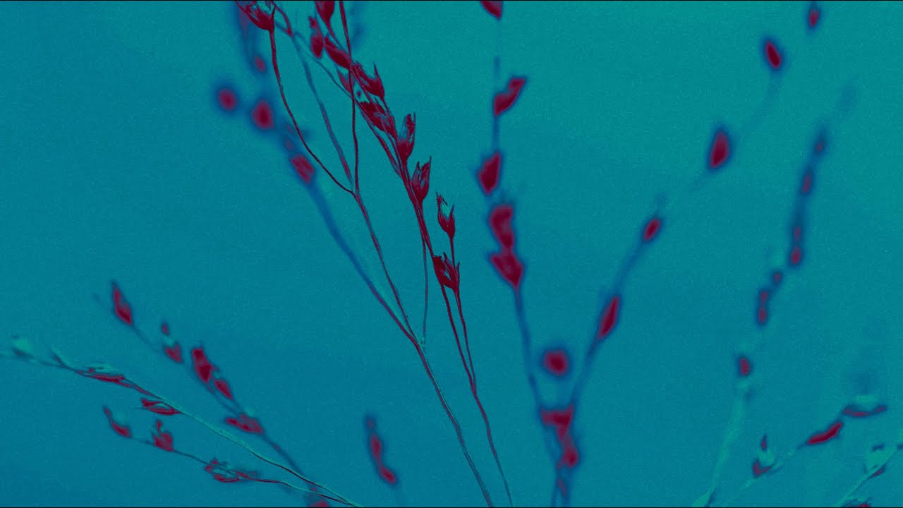 Volkan Erman - The Future (Original Mix) [Mystic Carousel Records] - YouTube