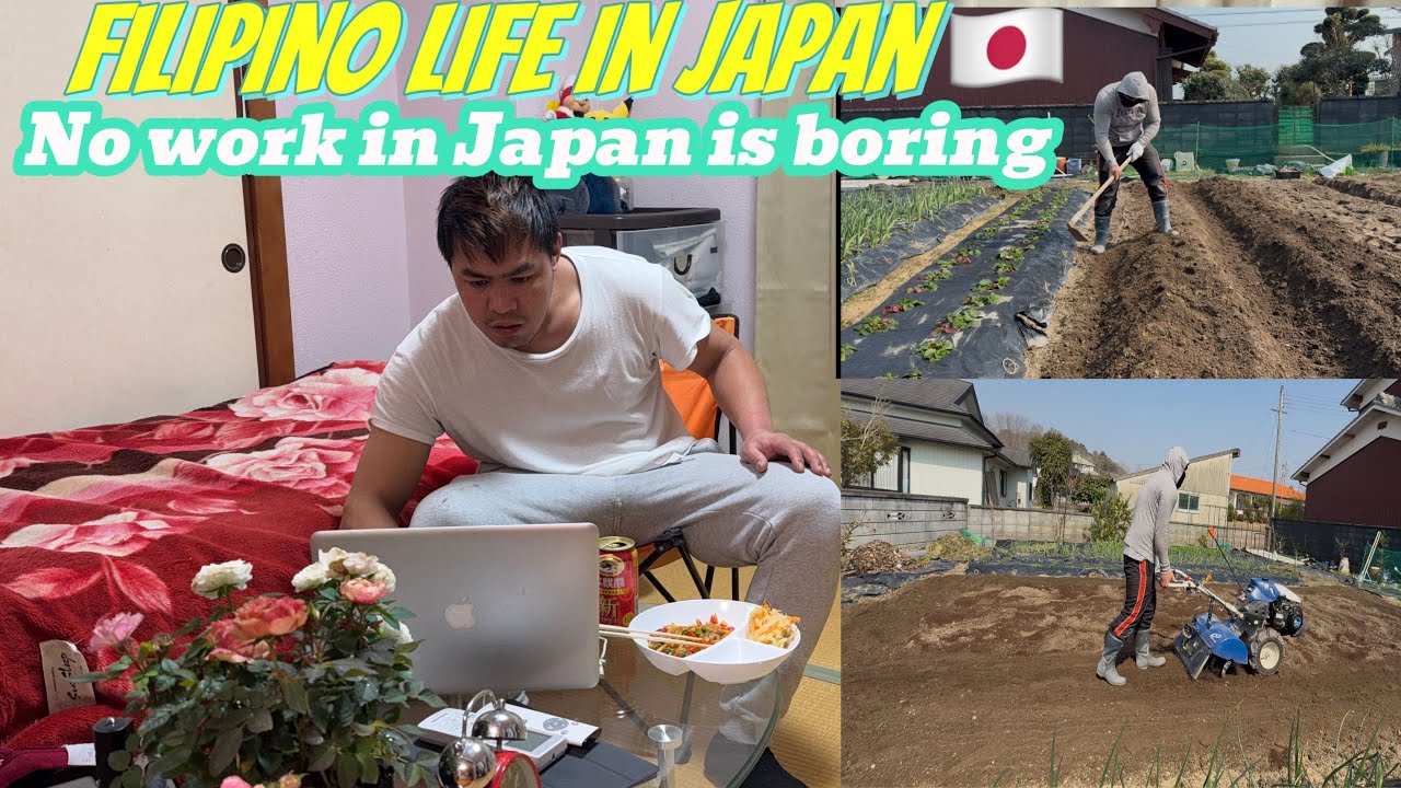 No work in Japan 🇯🇵 is boring/gardening/farming in japan🇯🇵 /cooking ...