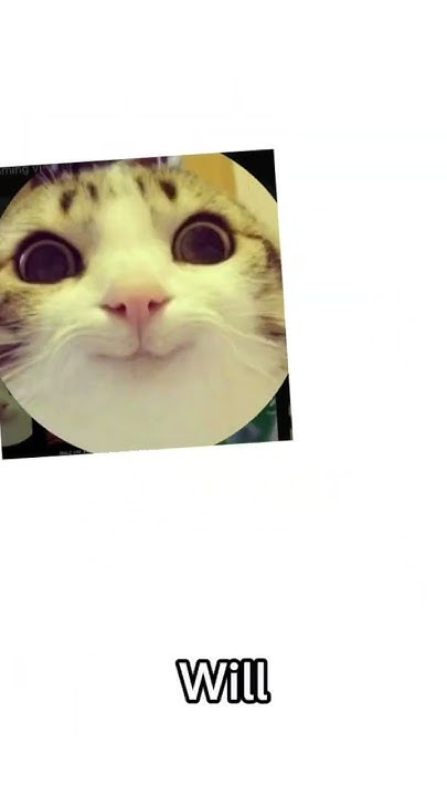 Probably true - YouTube