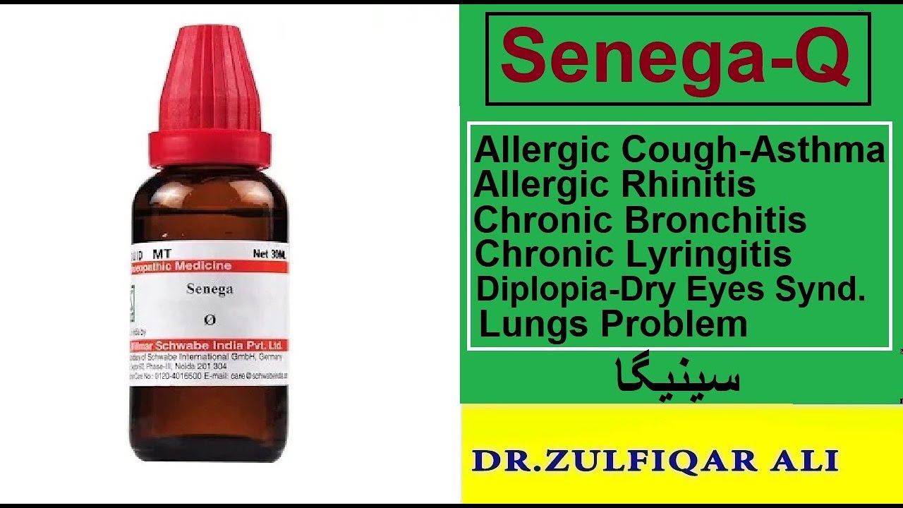 Senega | Symptoms | Action | Benefits | Doses | Explained in Urdu/Hindi ...