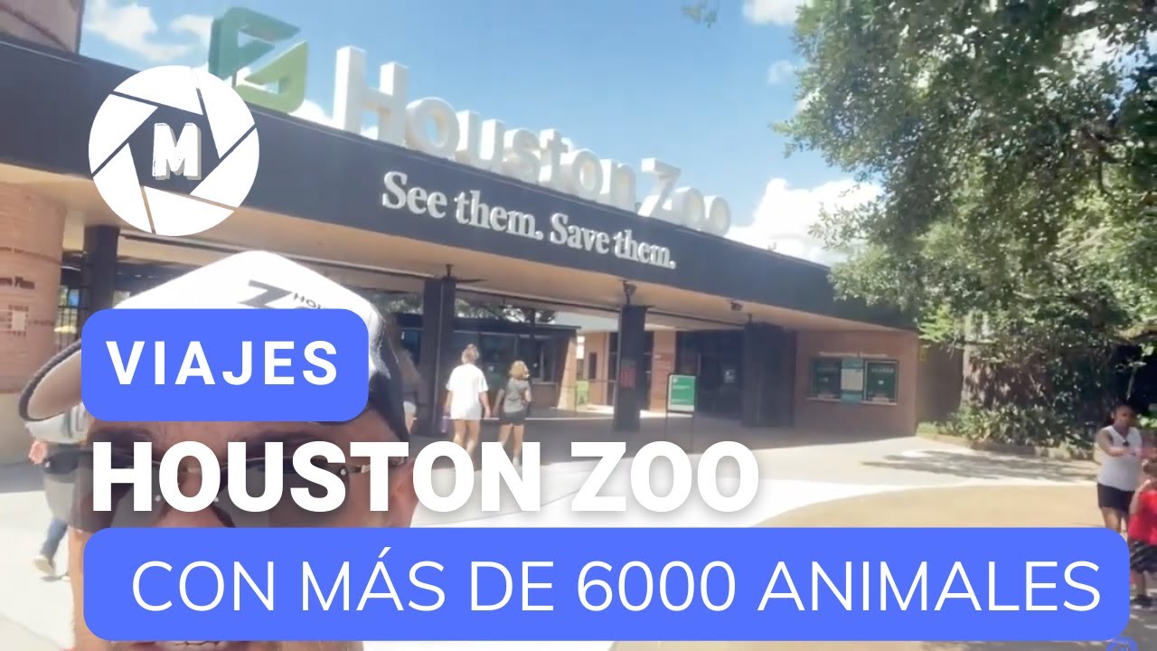Houston 🦁 Zoo Tour | Paseo por un Zoologico en Texas 🇺🇸 - YouTube