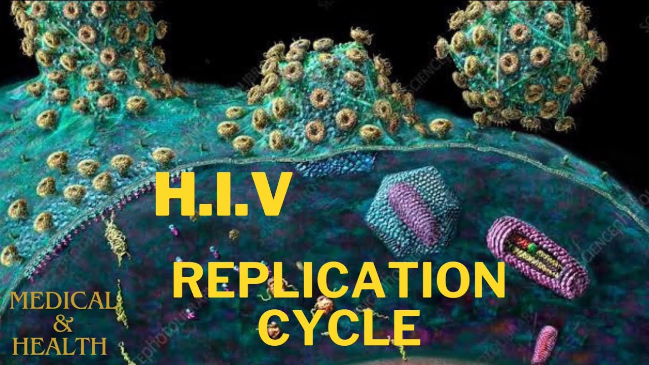 HIV Replication 3D Medical Animation | medical and health - YouTube