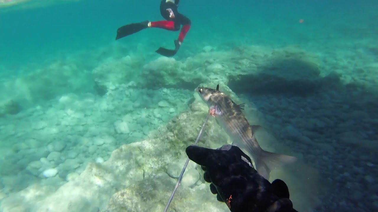 Shallow spearfishing stories in Crete #2, Catch and Cook | Ρήχο ...