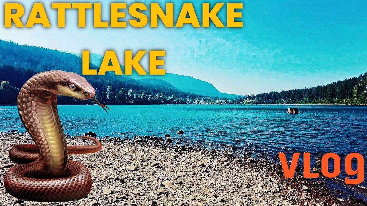 Rattlesnake Lake Washington - Everything You Need to Know! - YouTube