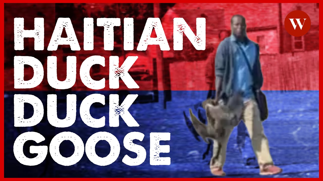 Duck, Duck, GOOSE! Why are Haitian migrants eating neighborhood animals ...
