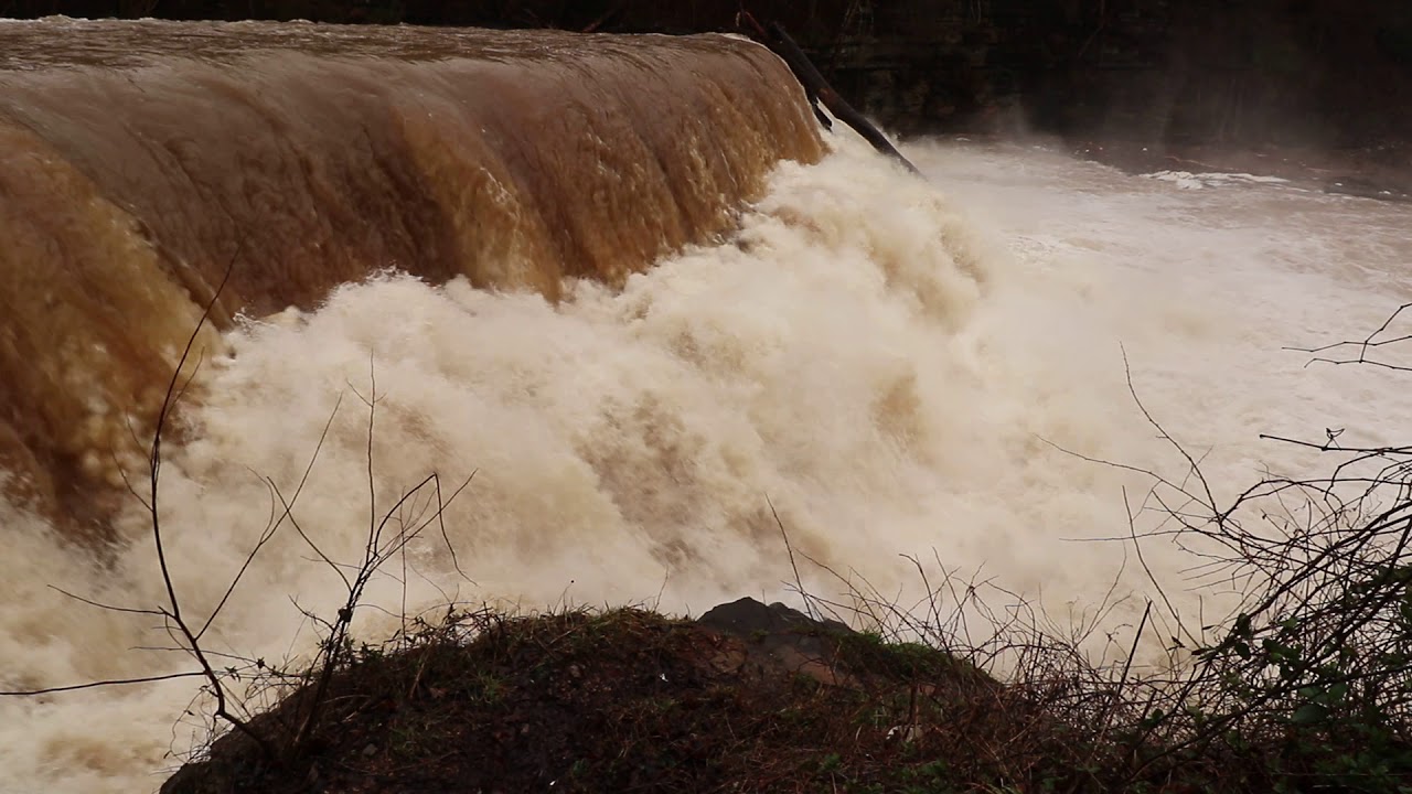 Waterloo Falls, Spring Creek, Overton County, Tennessee - YouTube