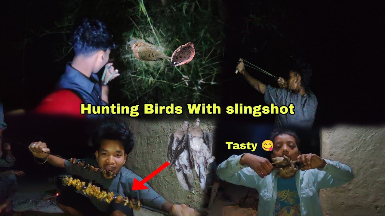 Hunting Bird🕊️🐦 at Night With Homemade Slingshot// Hunting And Eating ...
