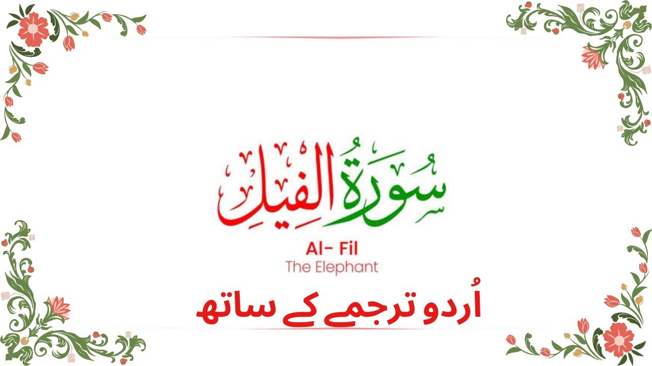 surah al feel with urdu translation || surah al fil || Quran ...