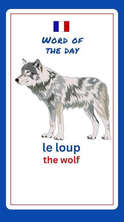 How To Say Wolf In French | French For Beginners - YouTube