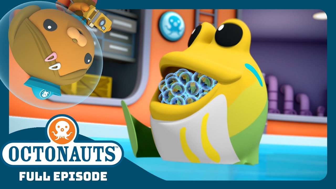 @Octonauts - 🥚 The Jawfish Baby Egg Chase 🐠 | Season 2 | Full Episodes ...