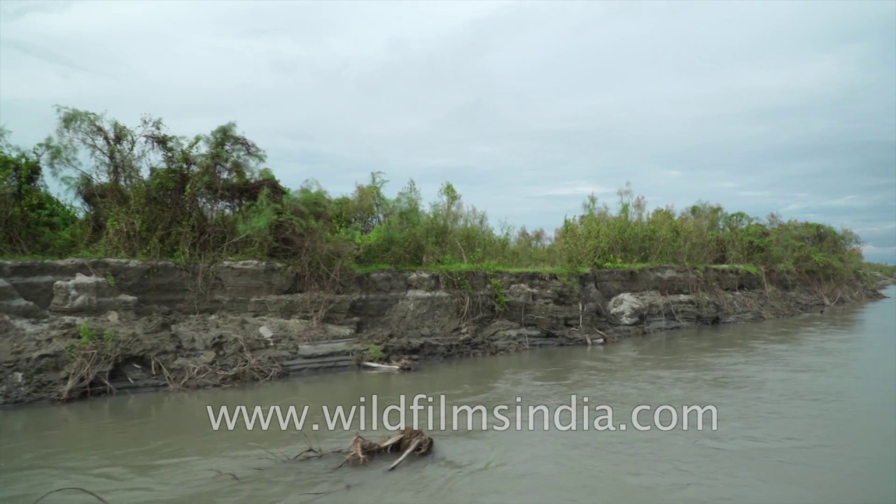 Crossing Brahmaputra river towards Dibru Saikhowa, from Dibrugarh - YouTube