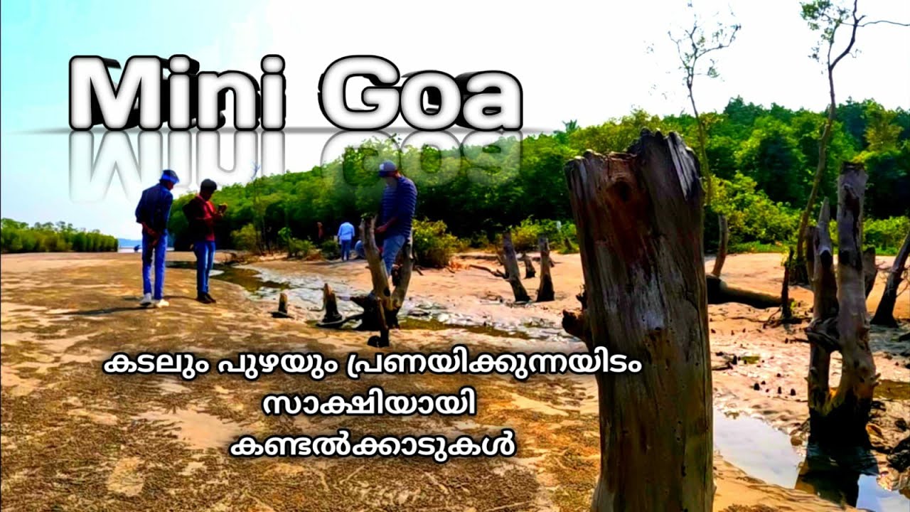Mini goa | mini goa Calicut |mini goa payyoli | vadakara @Dplanets ...