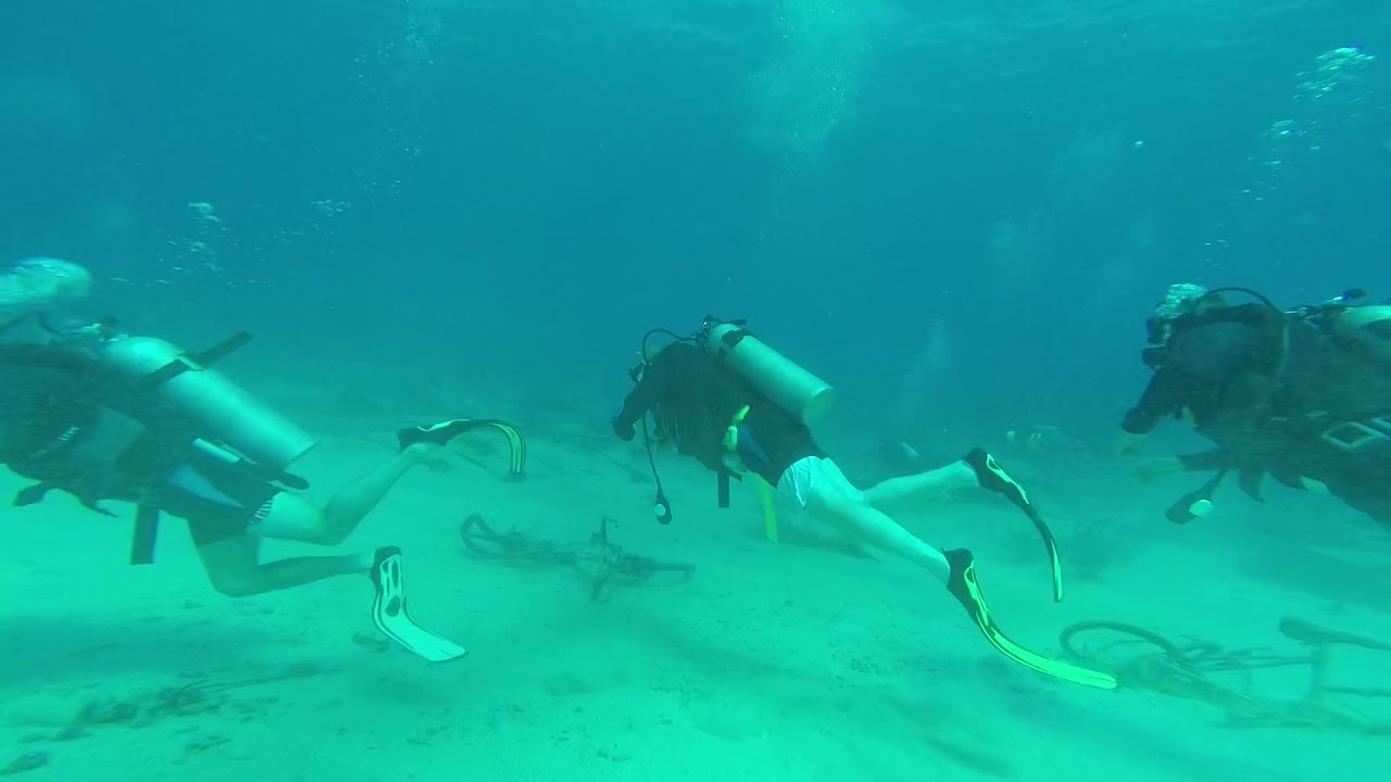 Dive at Oro Verde Ship Wreckage in Grand Cayman on 2/21/17 - YouTube