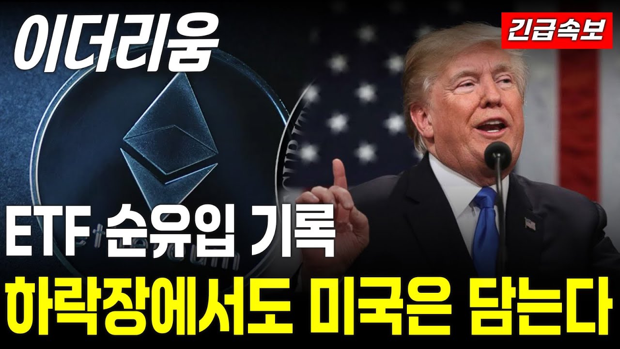 이더리움 전망 이더리움 하락장에도 순유입 기록 이더리움 이더리움etf 밈코인 비트코인 비트코인슈퍼사이클 코인밈