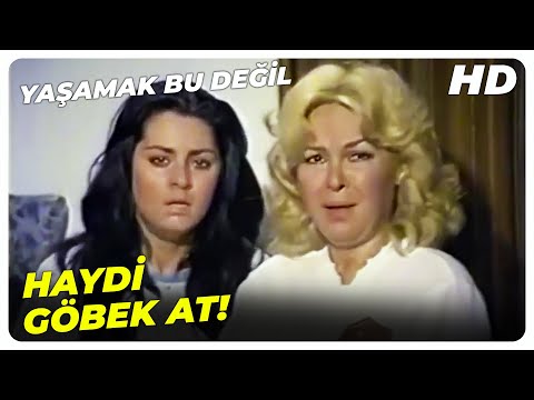 Gülbahar Ve Emine'yi Kaçırıyorlar - Yaşamak Bu Değil | İbrahim Tatlıses Serpil Çakmaklı