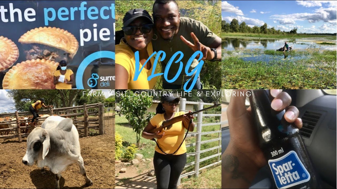 VLOG | Farm visit, eating Surrey pies for the first time, exploring ...
