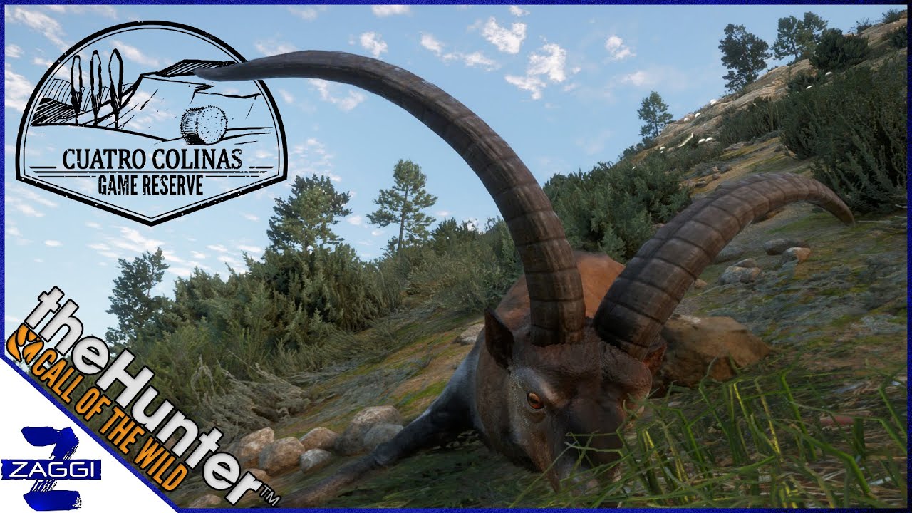 First Look at Cuatro Colinas - New Reserve Call of the Wild - YouTube