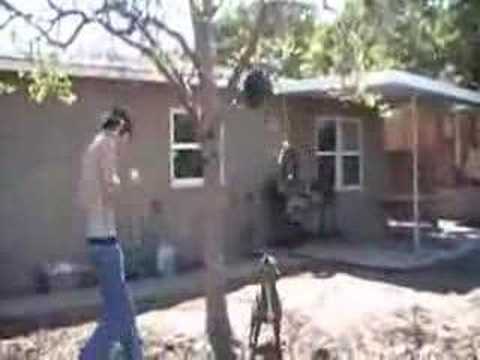 drop kick dog - YouTube