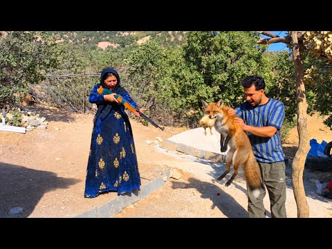 🚨 Fox Hunt in the Zagros Mountains | Fatemeh Steps In to Save the Chick