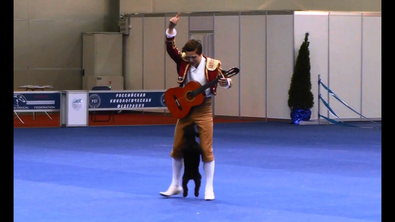 Танцы с собаками "Кубок Мастеров 2013". Dog Dancing. Canine Freestyle ...