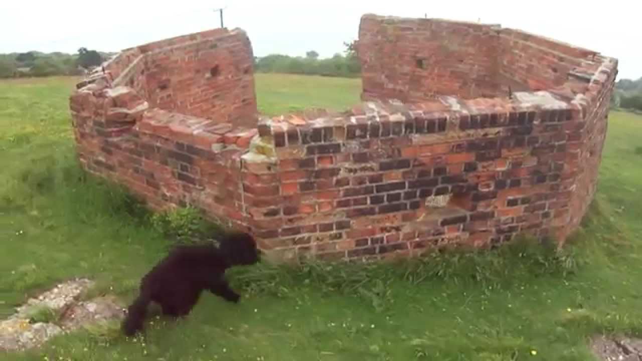 📽 WW2 - Y station ( remains of ) - isle of wight - YouTube