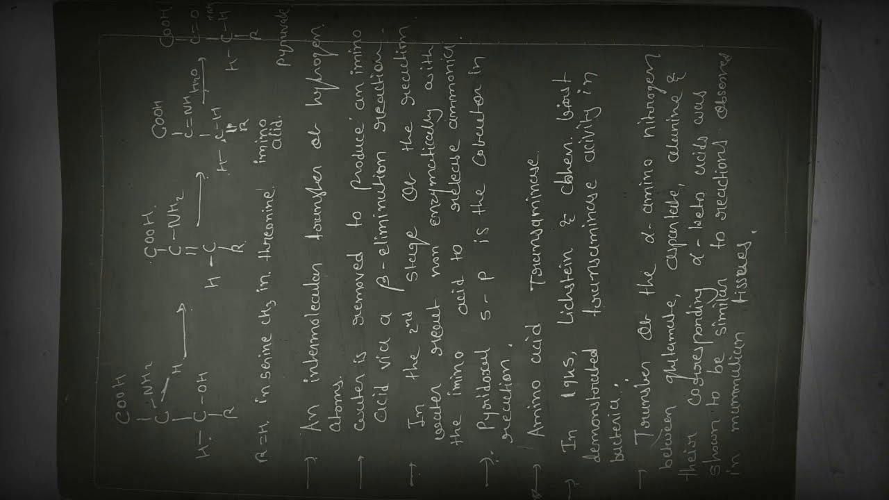 || Lac - 22 || Sem - 5 || The Stickland Reaction || Ch.2 ...