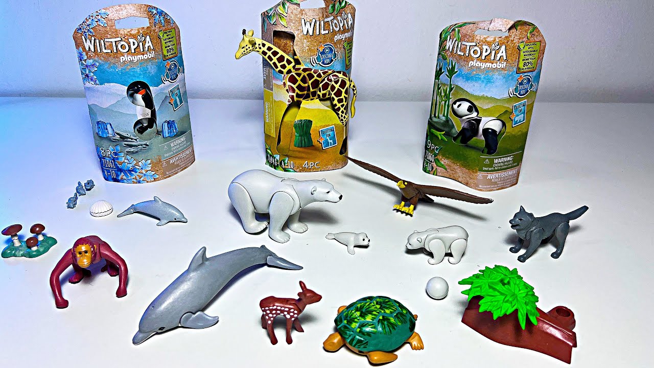 Sea Animals, Wild Animals, Collection - Dolphin, Seal, Polar Bear ...
