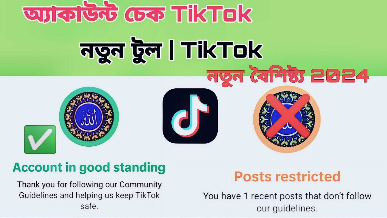NEW TikTok Tool: Account Check Feature 2024 | Tik Tok Studio - YouTube