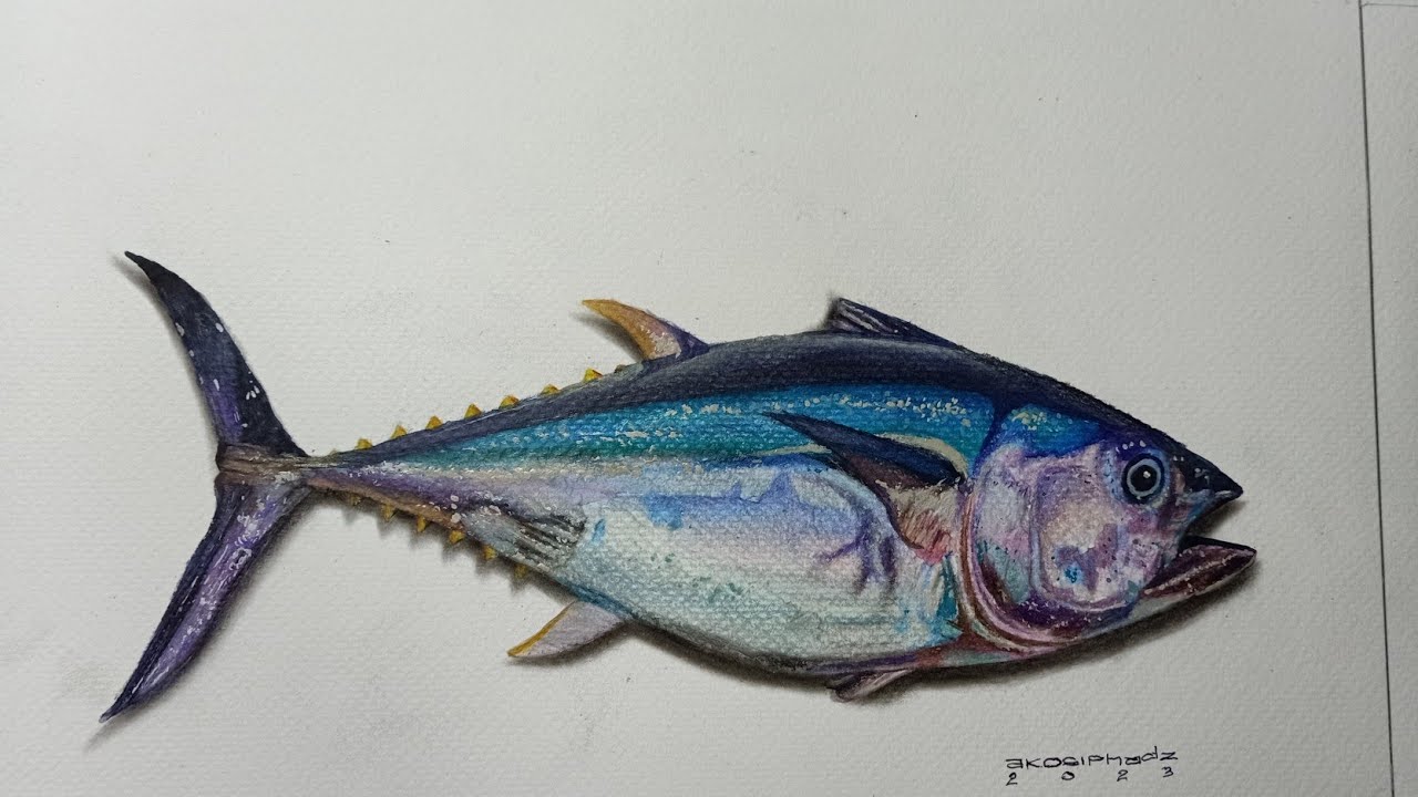 fishda 3d done using (water color,colord pencil, crayon, charcoal and ...