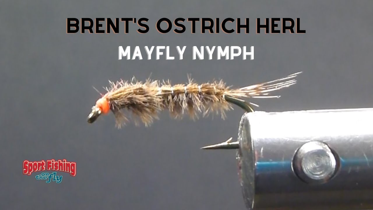 FLY TYING: BRENT'S OSTRICH HERL MAYFLY NYMPH - YouTube