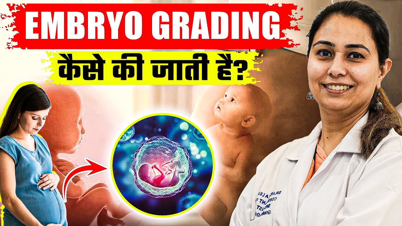 Embryo Grading कैसे की जाती है? | Embryo Grading in IVF | Embryo Grading in Hindi - YouTube