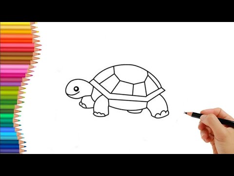 How to draw a Turtle 🐢 | Easy Turtle drawing for kids - YouTube