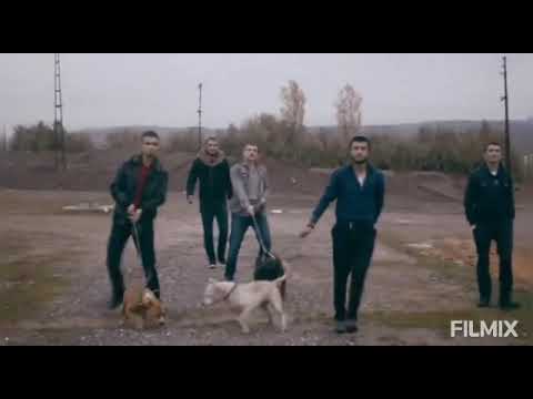 ASİ STYLA FT SANJAR : DİSTO ARSIZ BELA 2021