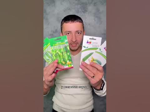 Семена огурцов от Партнера и Манул #семена #партнер #манул - YouTube