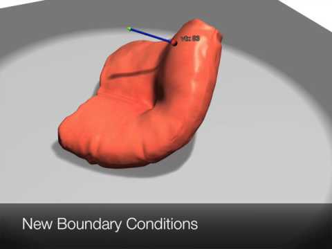 Capture and Modeling of Non-Linear Heterogeneous Soft Tissue - YouTube