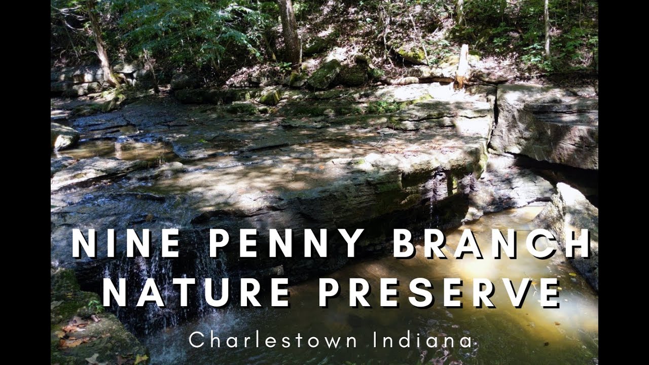 Travel Footage from Nine Penny Branch Nature Preserve - Charlestown ...