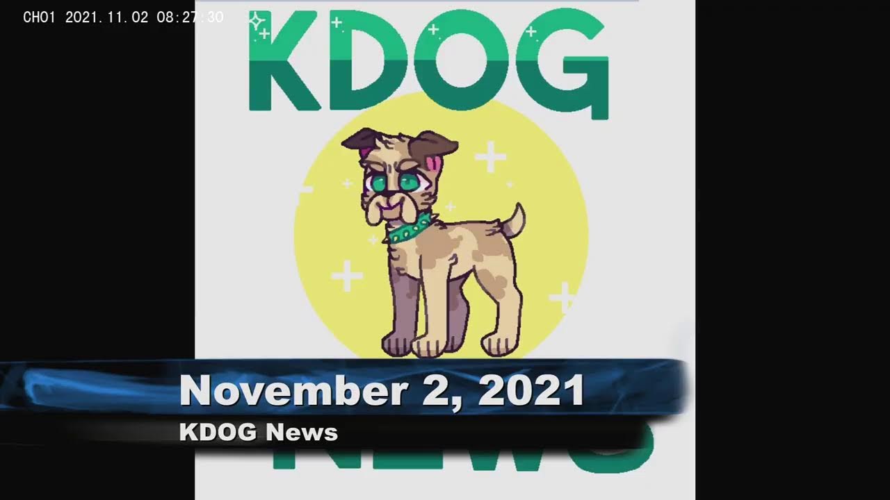 KDOG News Live Stream - YouTube