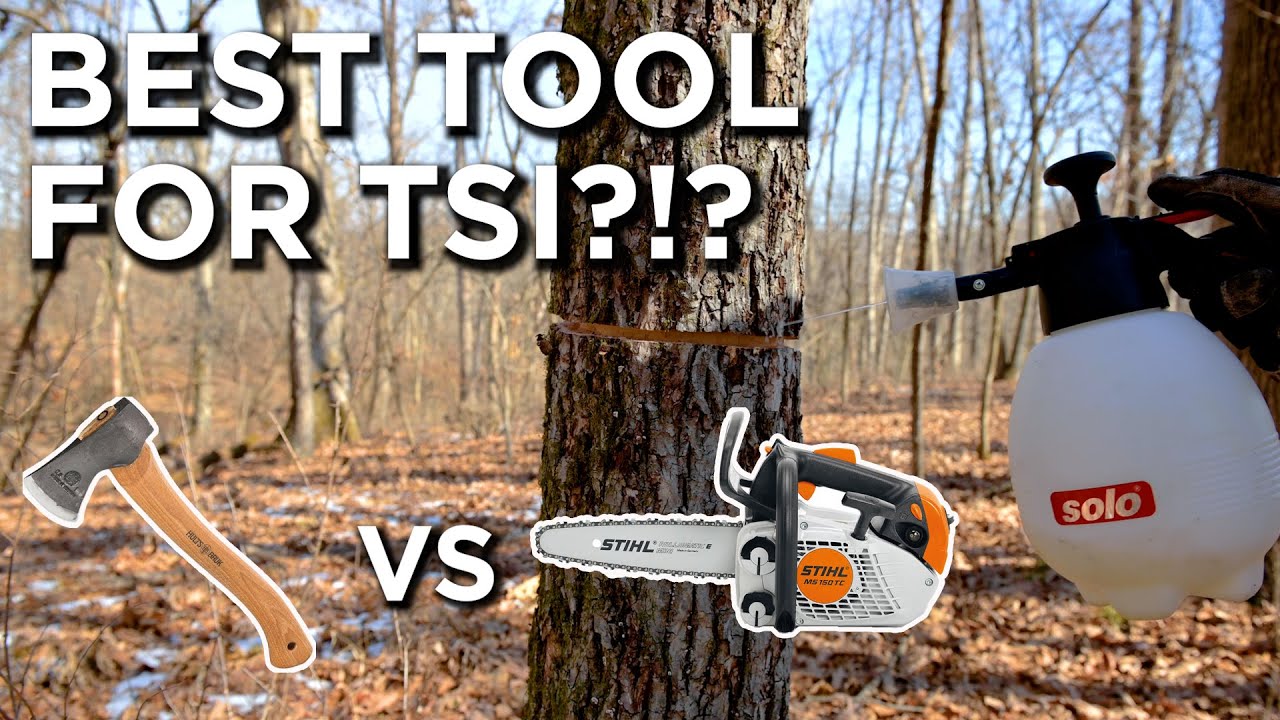 THE BEST Tools For Timber Stand Improvement!! - YouTube