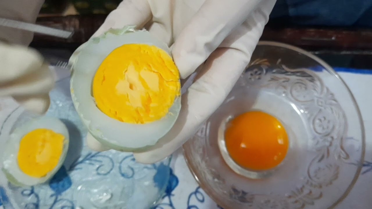 PRAKTIKUM PERKEMBANGAN HEWAN (TIPE-TIPE TELUR) - YouTube