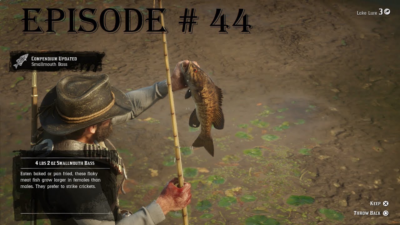 Red Dead Redemption 2 Ultimate Edition Walkthrough Gameplay Part 44 ...