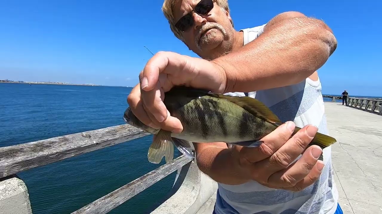 Fishing San Pedro Pier - YouTube