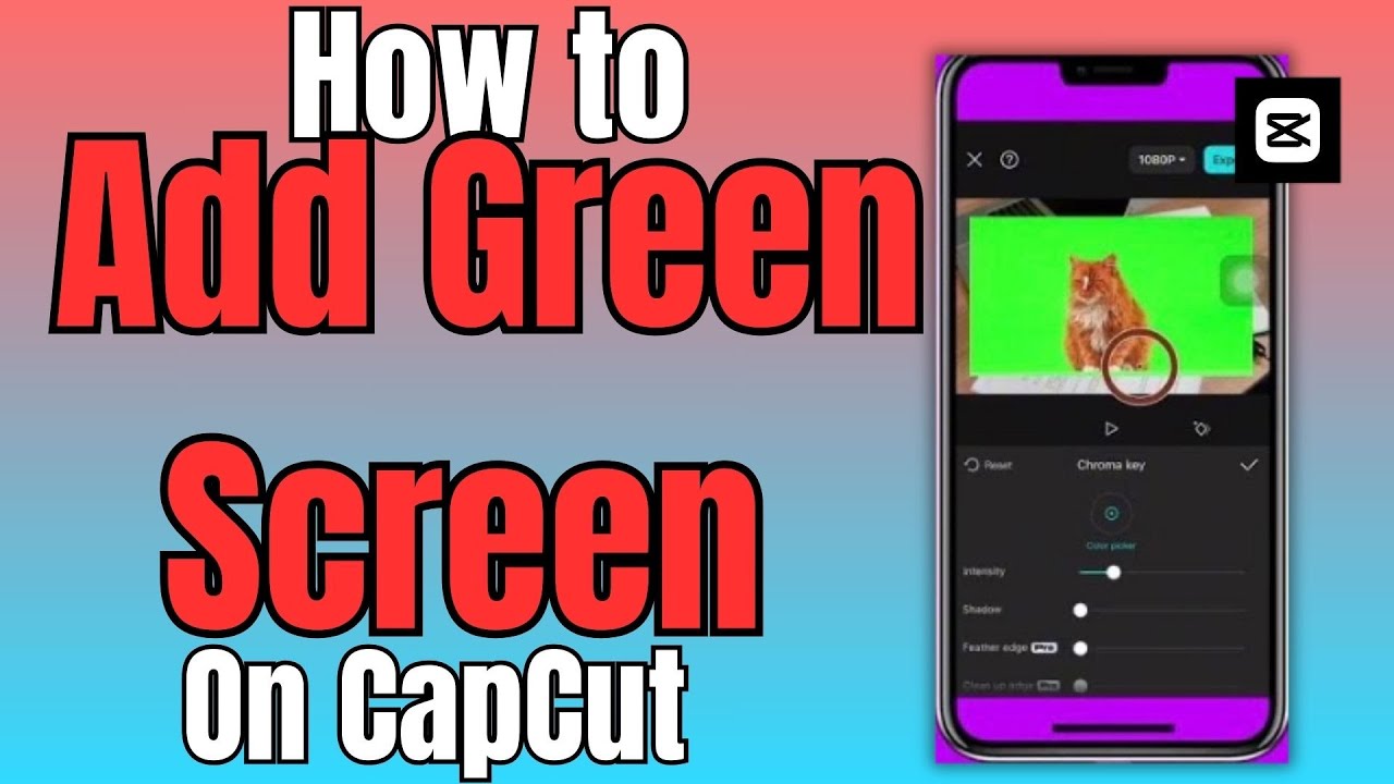 How to Add Green Screen On CapCut - YouTube